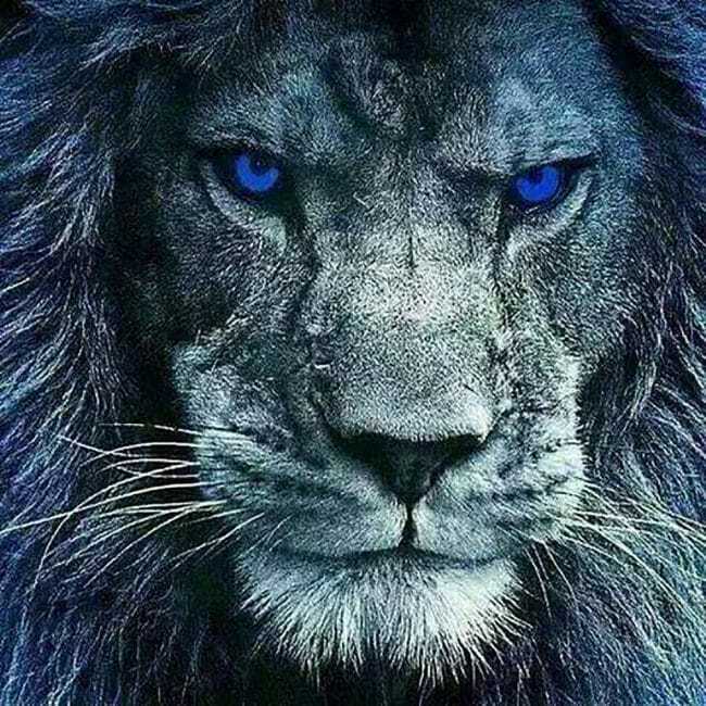 Patriot7 ⚬ Umov.net